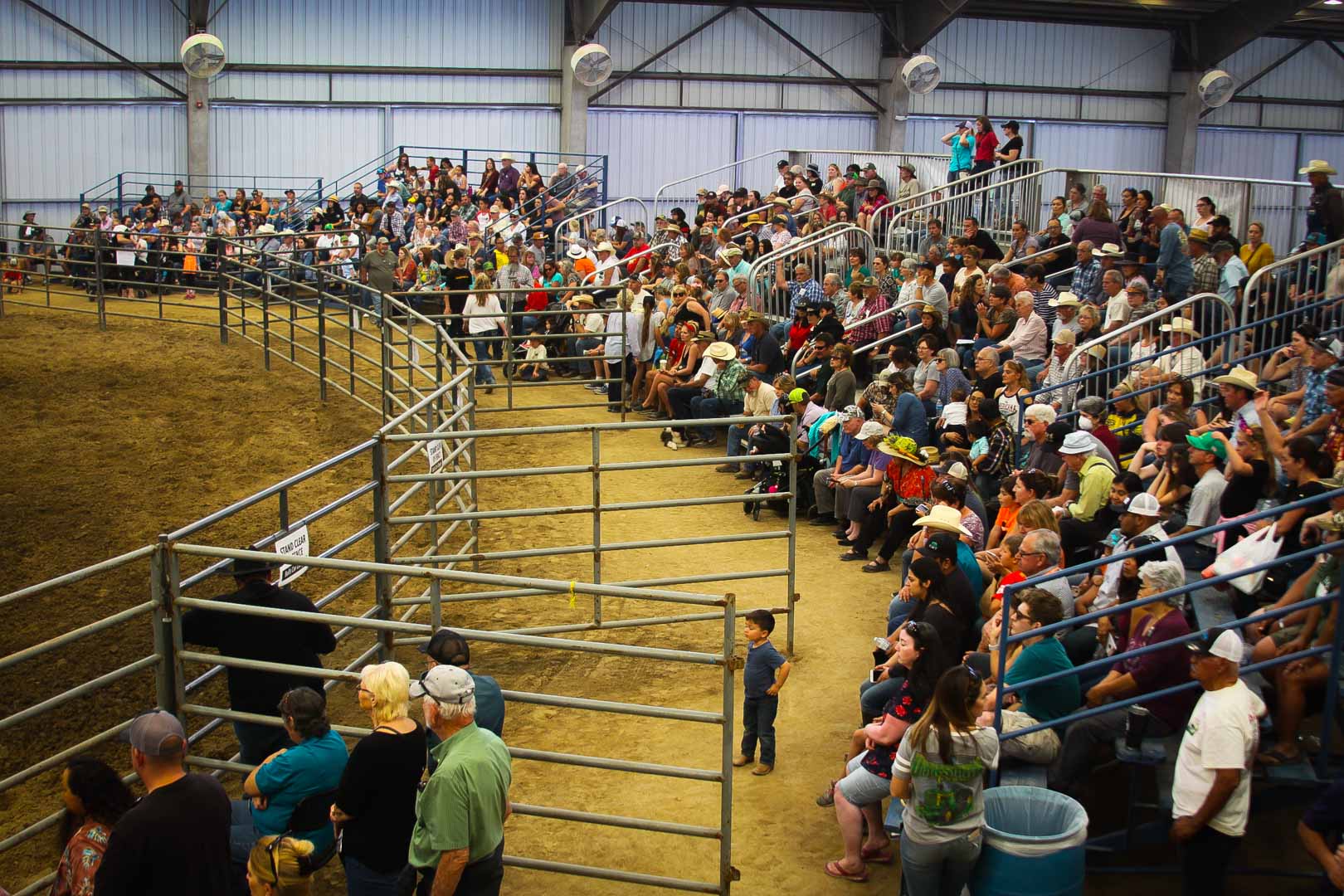 entertainment – cafes