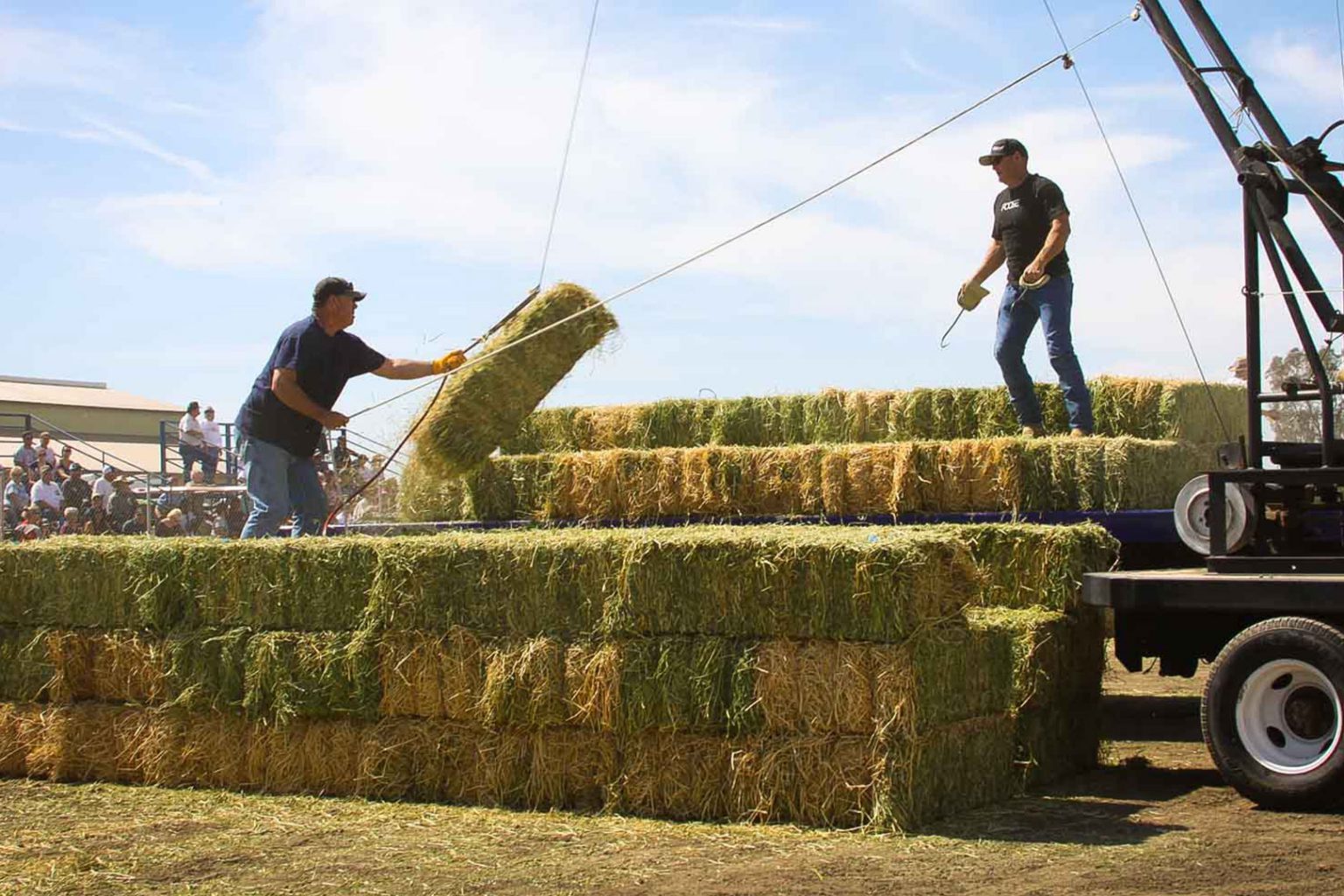 Hay Bucking