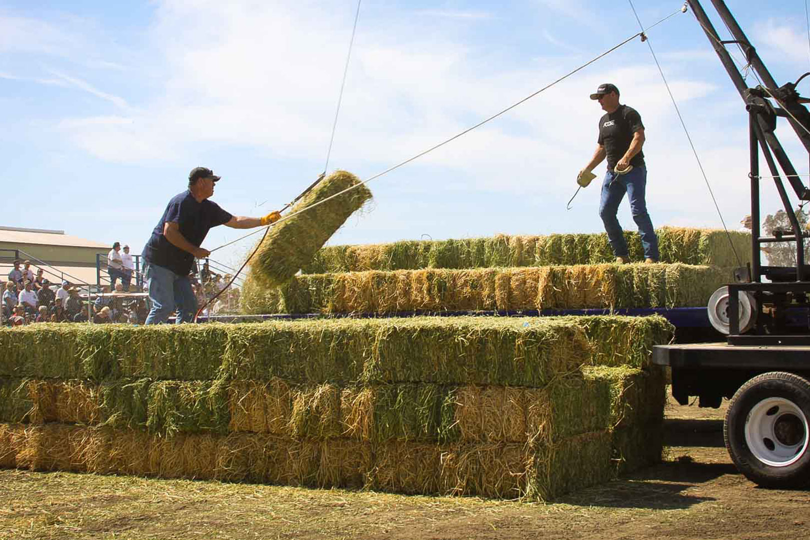 Hay Bucking